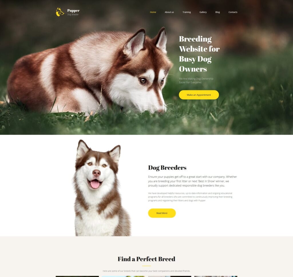 Dog Breeder Website Template - Go Edit